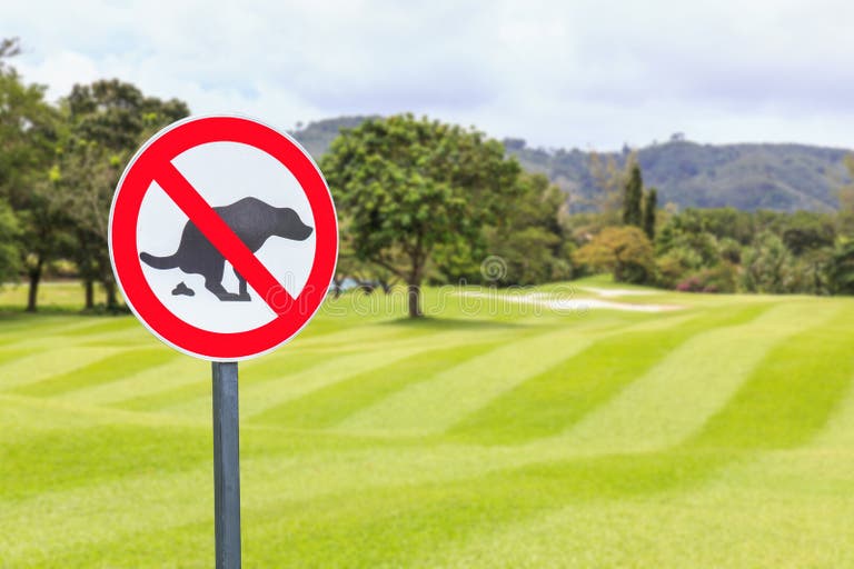 No Dog Pooping Sign Golf Course Stock Photo - Image of white, forbidden ...