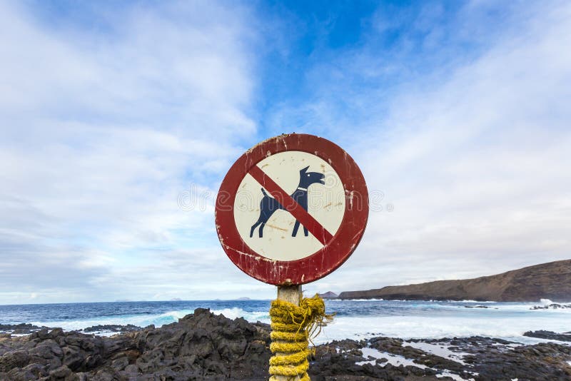 No dog sign at the coast stock image. Image of island - 51311311
