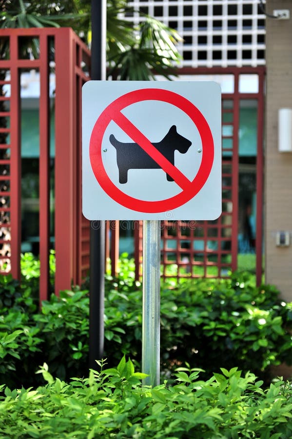 No dog sign stock photo. Image of zone, regulations, black - 46951532