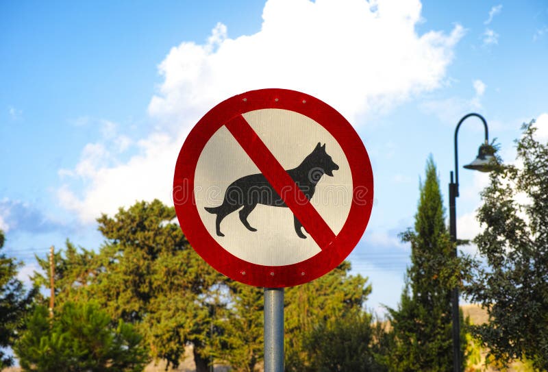 No dog sign stock image. Image of sign, symbol, blue - 82188581