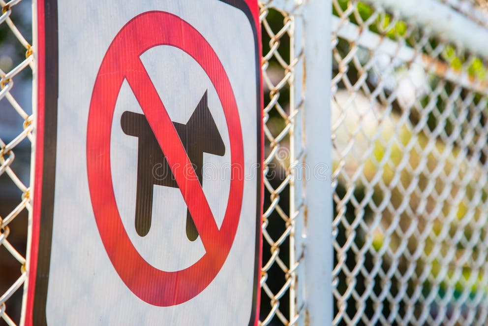 No dog zone sign stock photo. Image of illegal, park - 84397674