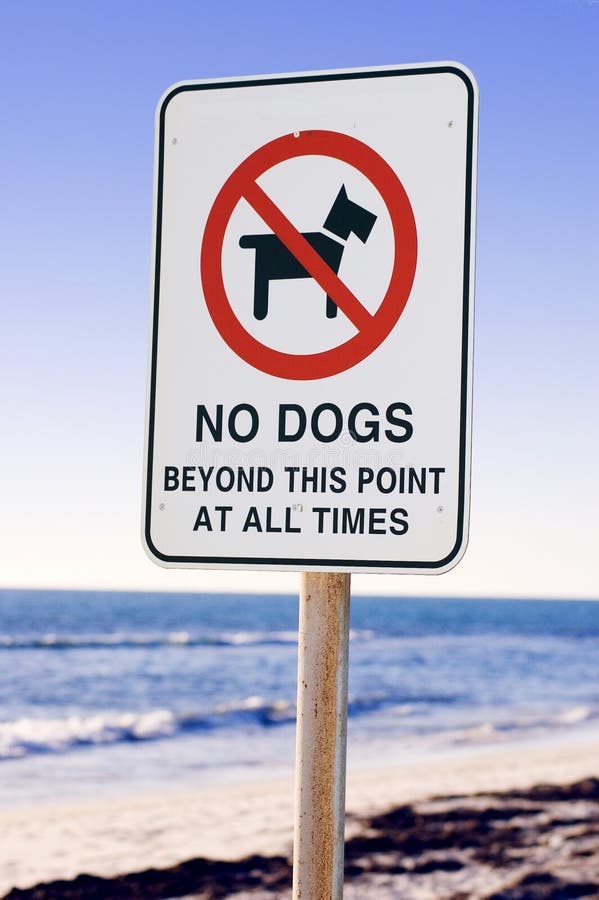 No Dogs Beyond this Point Sign. Stock Photo - Image of point, dogs ...