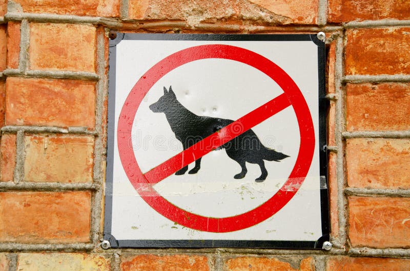 No dogs. stock image. Image of restricted, attention - 20559735