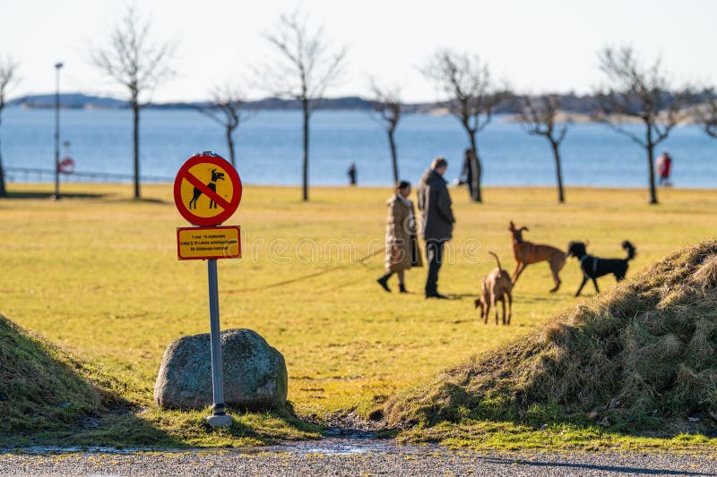 No Dogs Allowed Park Sign with Multiple Dogs Visible.. Stock Image ...