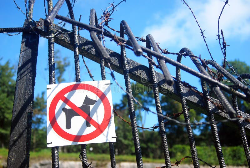 No Hunting Sign - Picture of a Rifle Gun Stock Photo - Image of google ...