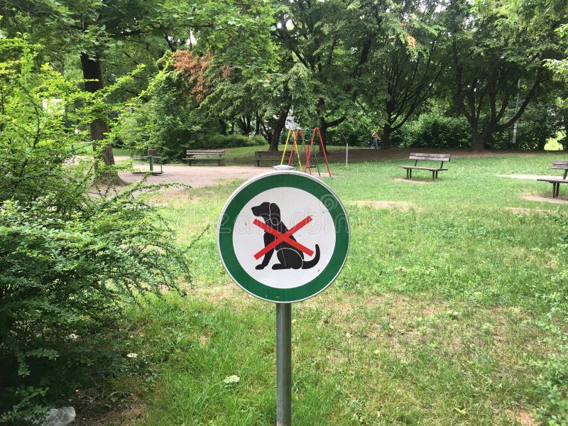 No Dogs Allowed Sign on the Entry of Empty Children Playground Stock ...