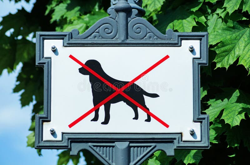 No dogs allowed sign stock image. Image of dogs, pictogram - 59514245