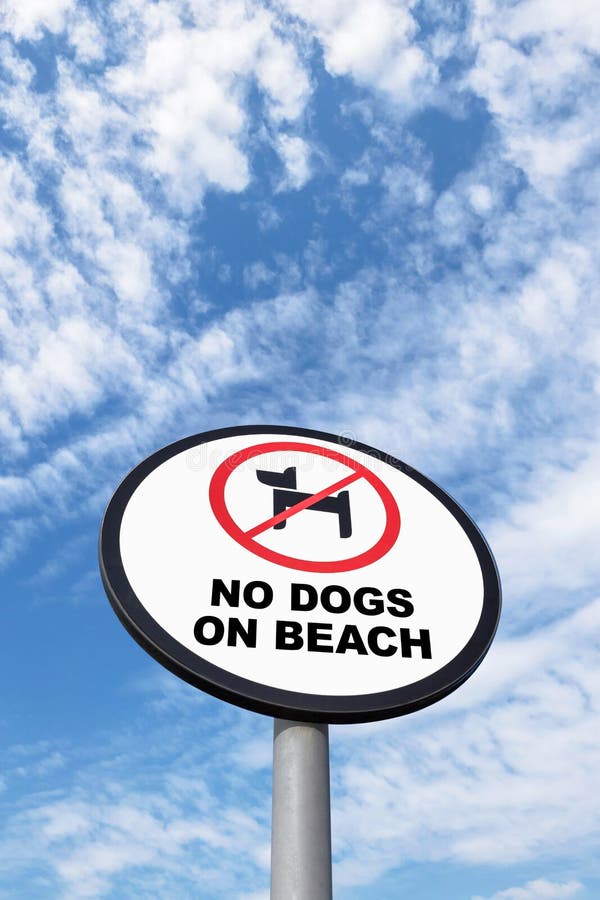 959 Beach Sign No Background Stock Photos - Free & Royalty-Free Stock ...