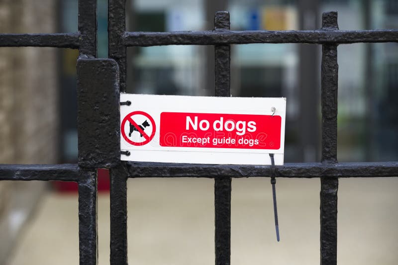 No Dogs Except Guide Dogs Sign Outside School Stock Image - Image of ...