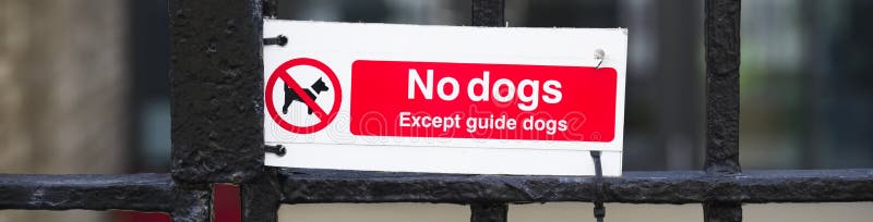 No Dogs Except Guide Dogs Sign Outside School Stock Photo - Image of ...