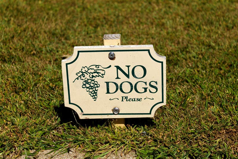 No dogs sign stock photo. Image of animal, please, wooden - 26746006