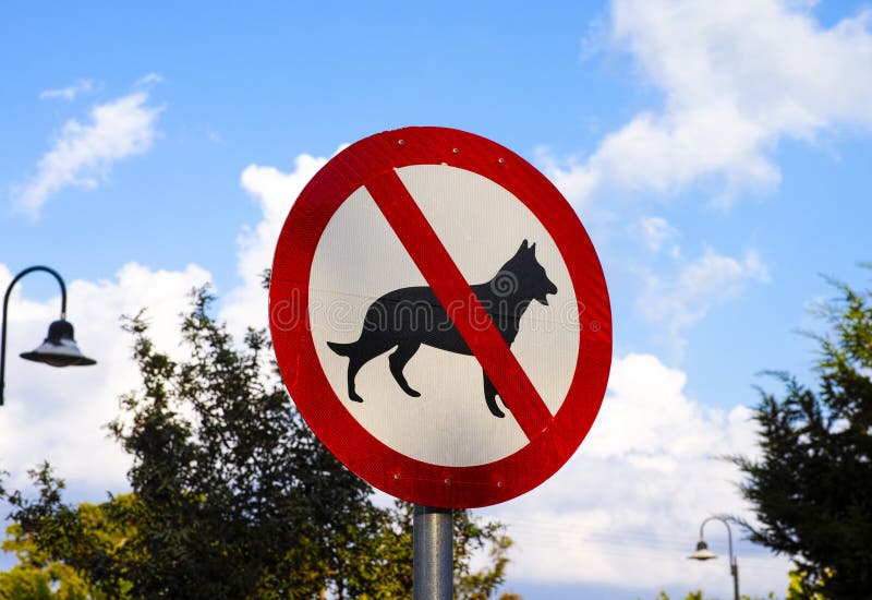 No dogs sign stock photo. Image of dogs, traffic, blue - 86318682