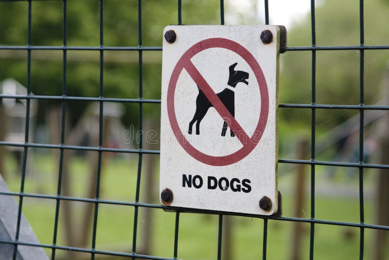 No dogs sign stock photo. Image of dogs, colour, fence - 32416734