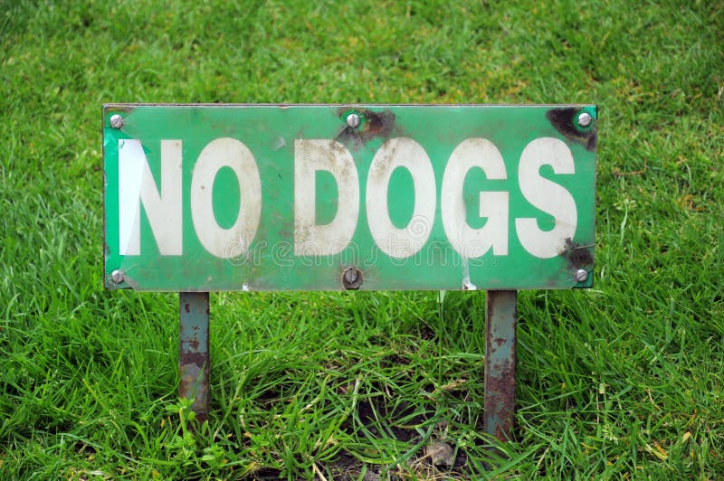 NO DOGS - sign on lawn stock image. Image of worn, sign - 25568971