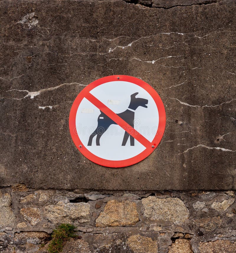 No dogs sign stock image. Image of wall, walking, control - 314692749