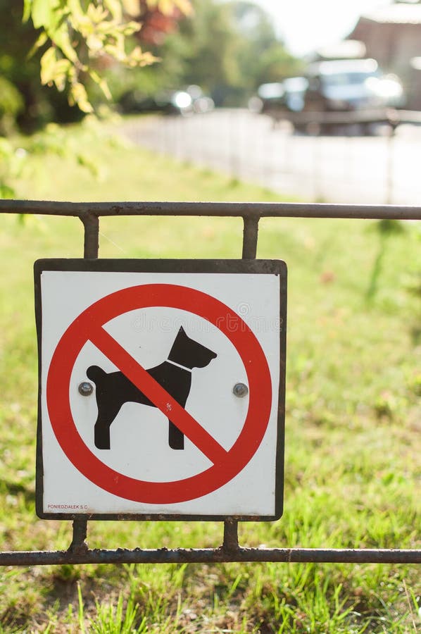 195 No Dogs Entry Stock Photos - Free & Royalty-Free Stock Photos from ...