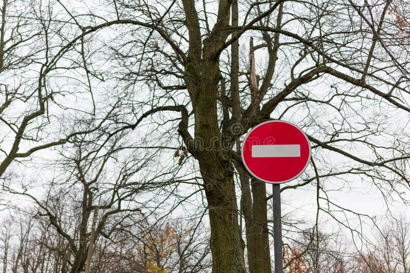 No Entry Sign on a Background of Trees Stock Photo - Image of safety ...