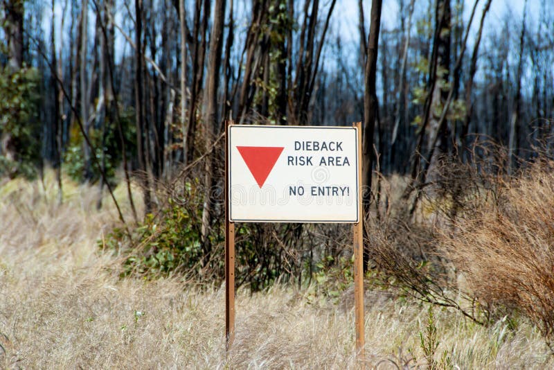 Dieback Risk Area stock image. Image of outdoor, mould - 233245453
