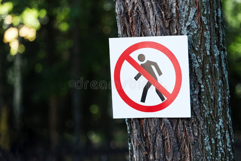 No Entry - a Sign Hanging on a Tree Stock Image - Image of light ...