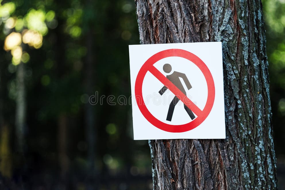 No Entry - a Sign Hanging on a Tree Stock Image - Image of light ...