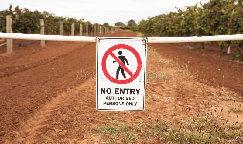 NO ENTRY Sign stock photo. Image of warning, plastic - 52656416