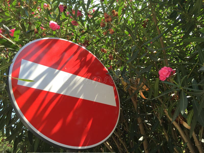 No entry sign stock photo. Image of blossoming, disallowed - 57724398