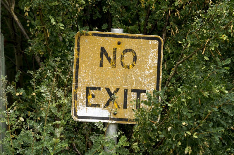 No Exit Sign in the Forest stock image. Image of dense - 104926317
