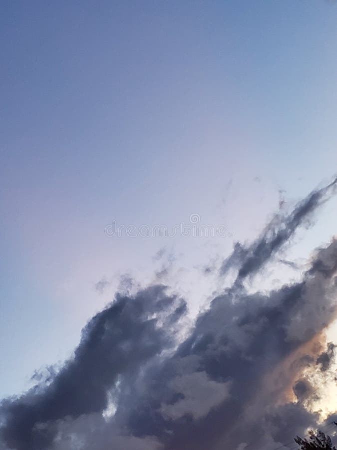 No filter beach day stock photo. Image of beach, trees - 163279334