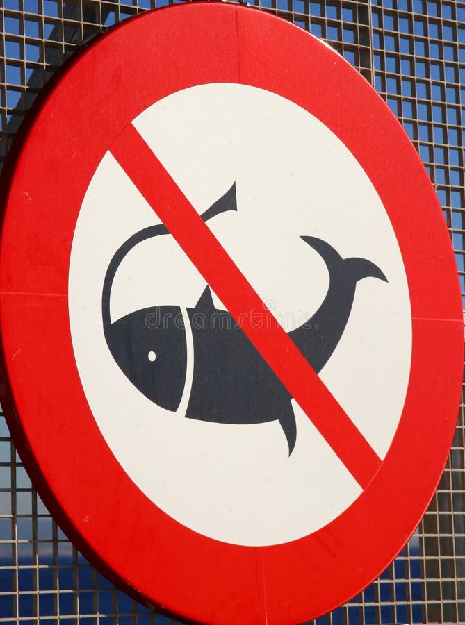 No fishing stock photo. Image of animal, fishing, hook - 23939930