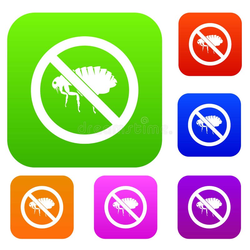 No Flea Sign Set Collection Stock Vector - Illustration of home, bite ...