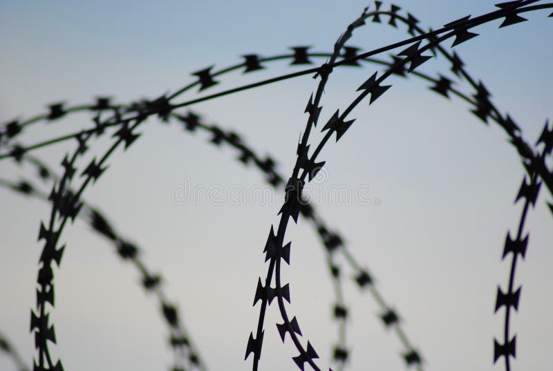 No Freedom stock photo. Image of danger, army, security - 21628544