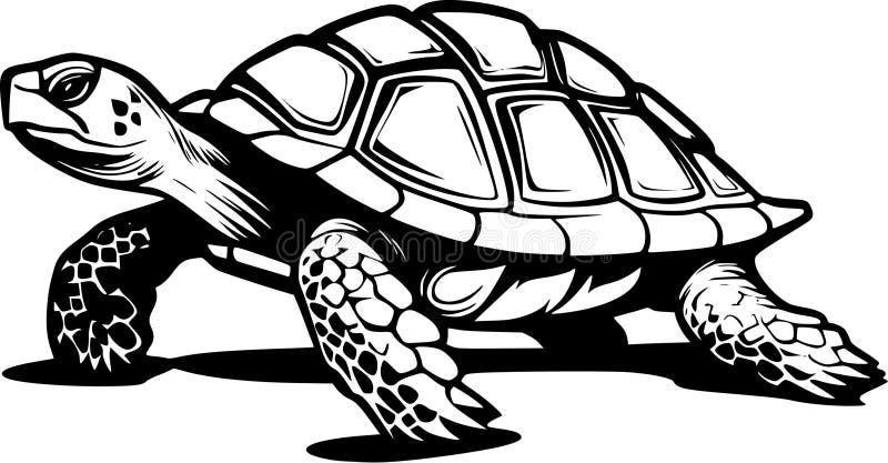 Turtle - Minimalist and Flat Logo - Vector Illustration Stock Vector ...