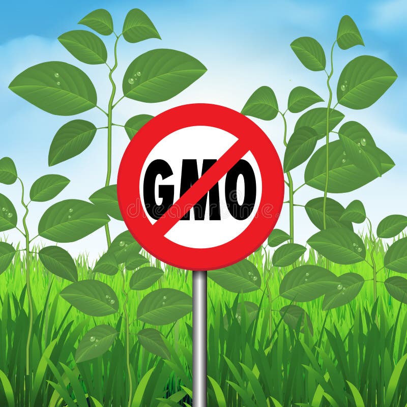 No GMO stock vector. Illustration of genetic, isolated - 62773835