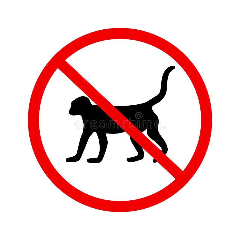 Monkey with Sign stock vector. Illustration of jolly - 49231120