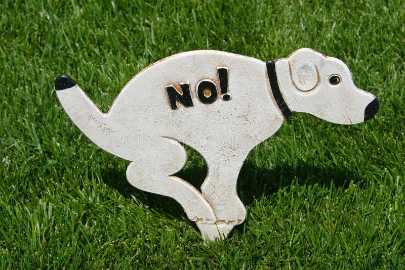 No No! stock image. Image of cute, pets, grass, small - 21156123