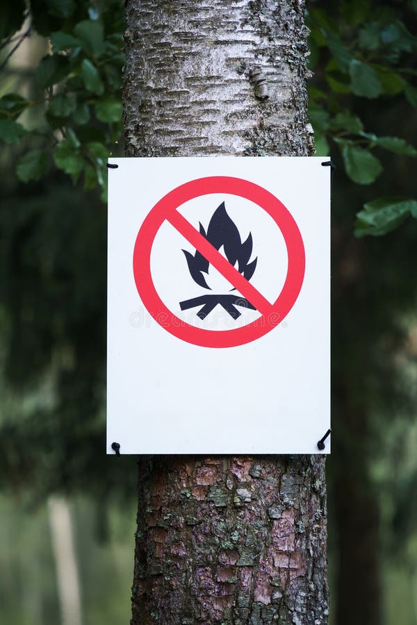 No Open Fire Sign on a Tree Stock Image - Image of conservation ...