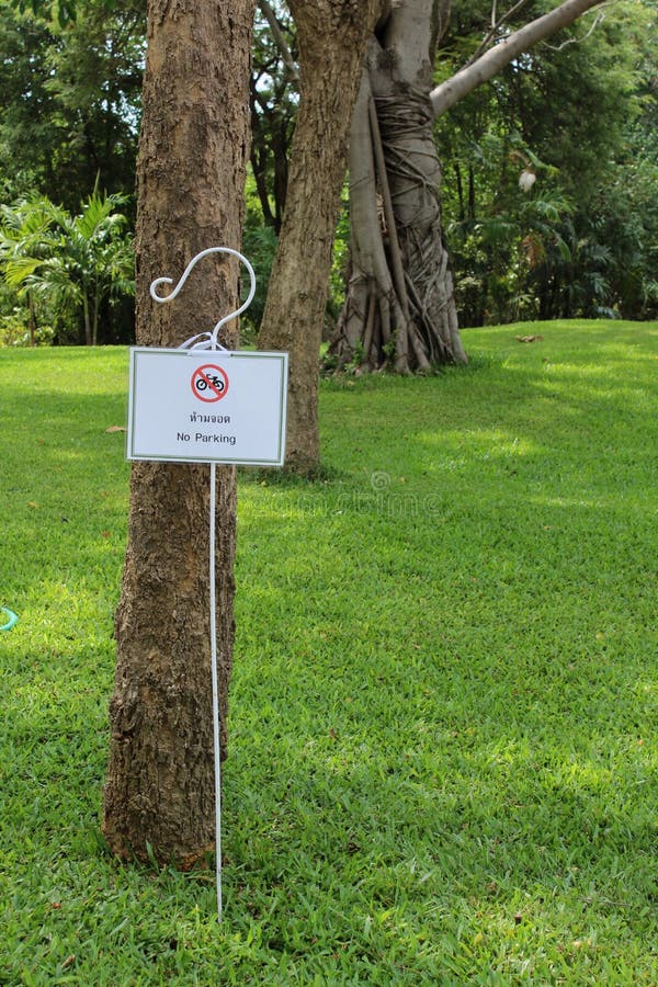 No Parking Front Tree Stock Photos - Free & Royalty-Free Stock Photos ...