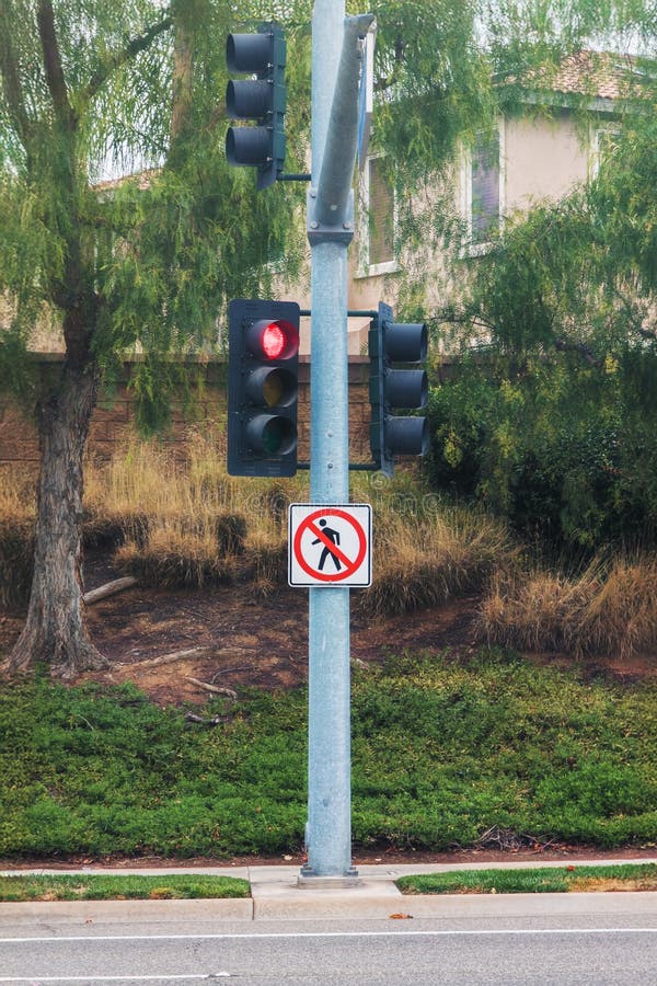 A No Pedestrian Crossing Sign on Traffic Light Pole Stock Image - Image ...
