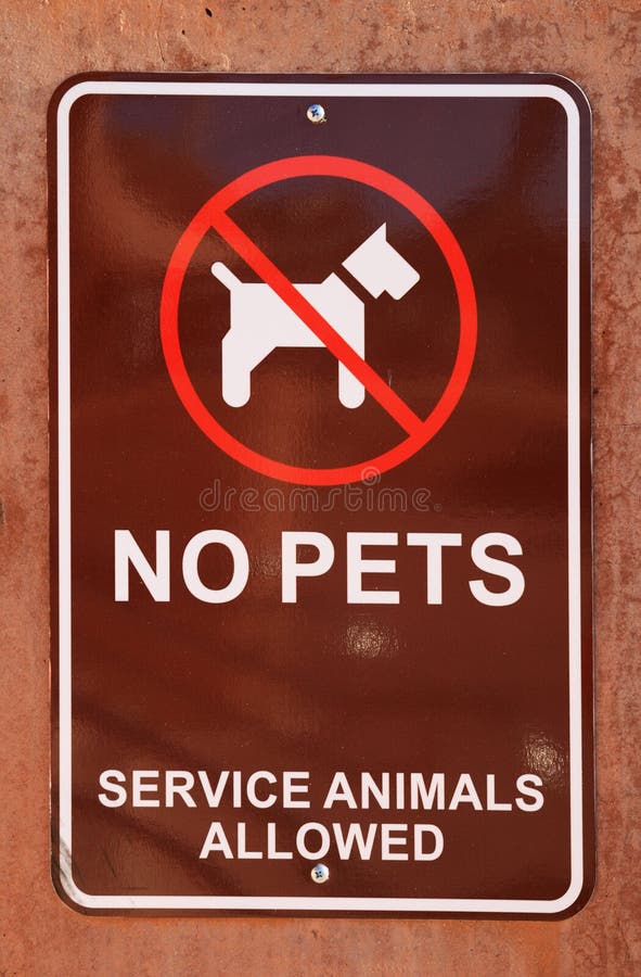 No pets sign stock photo. Image of signage, posted, white - 8555386