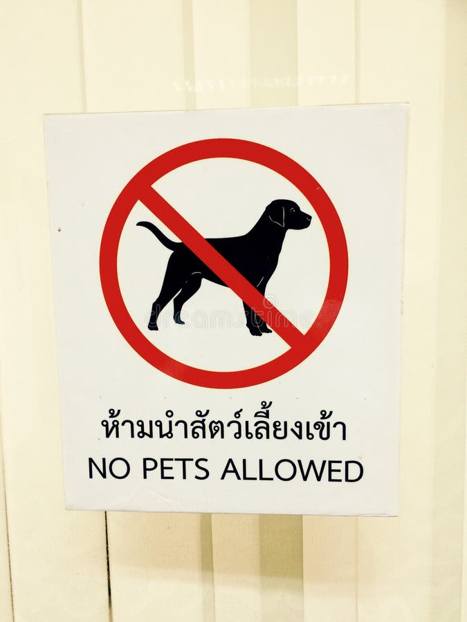 No pets , warning symbol stock photo. Image of parking - 50030268