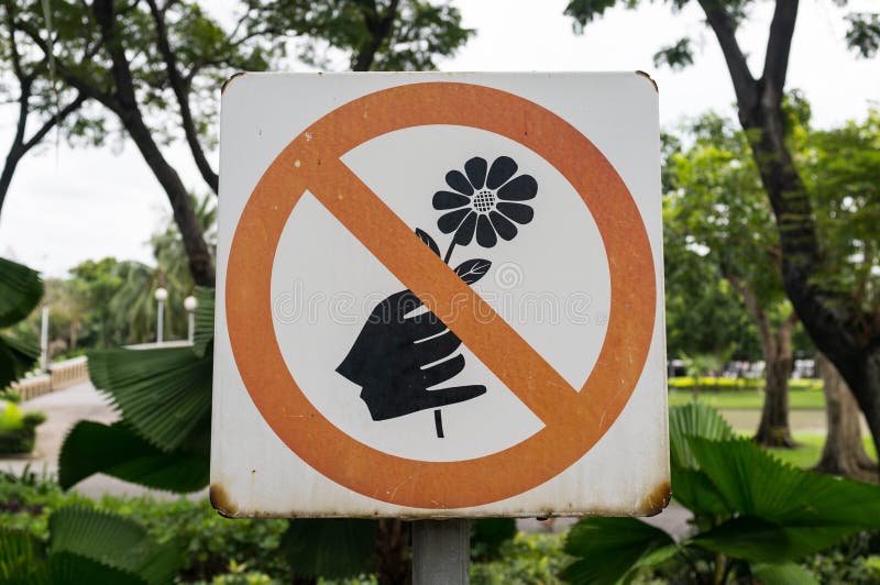 No Picking Flowers Sign stock image. Image of tree, sensitive - 35566475