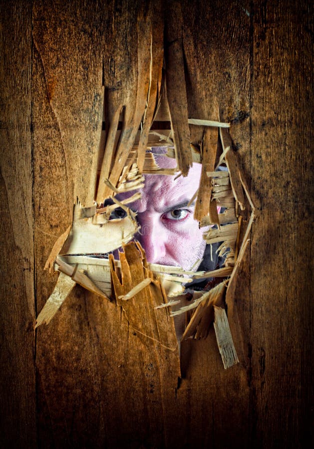 No privacy stock image. Image of invasion, portrait, wood - 18392741