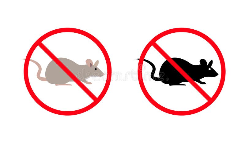 No Rats Allowed, Rat Control, Deratization and Disinfestation Service ...
