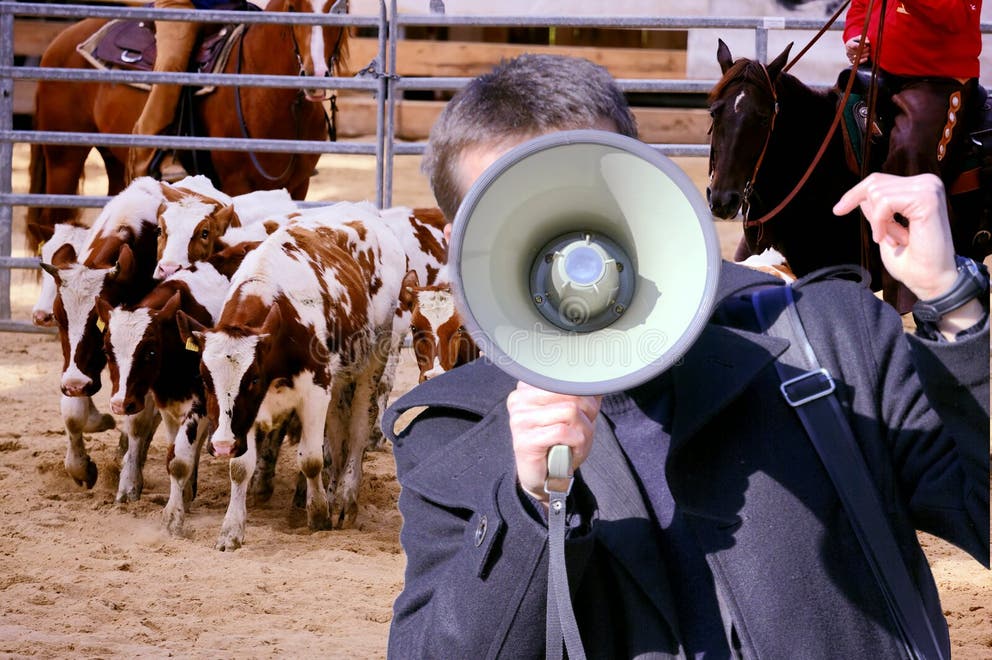 NO for rodeo cruelty stock photo. Image of horns, competitor - 19985642