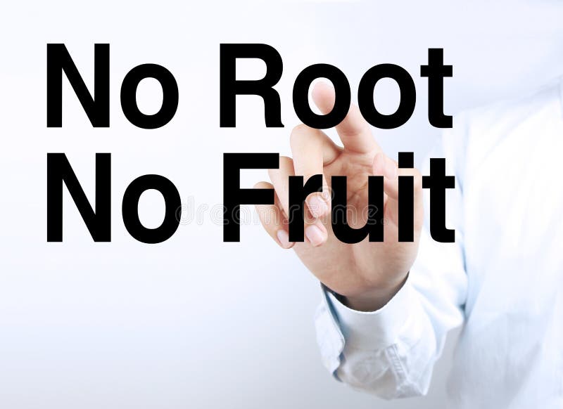 No Root No Fruit stock photo. Image of creative, hard - 59244996