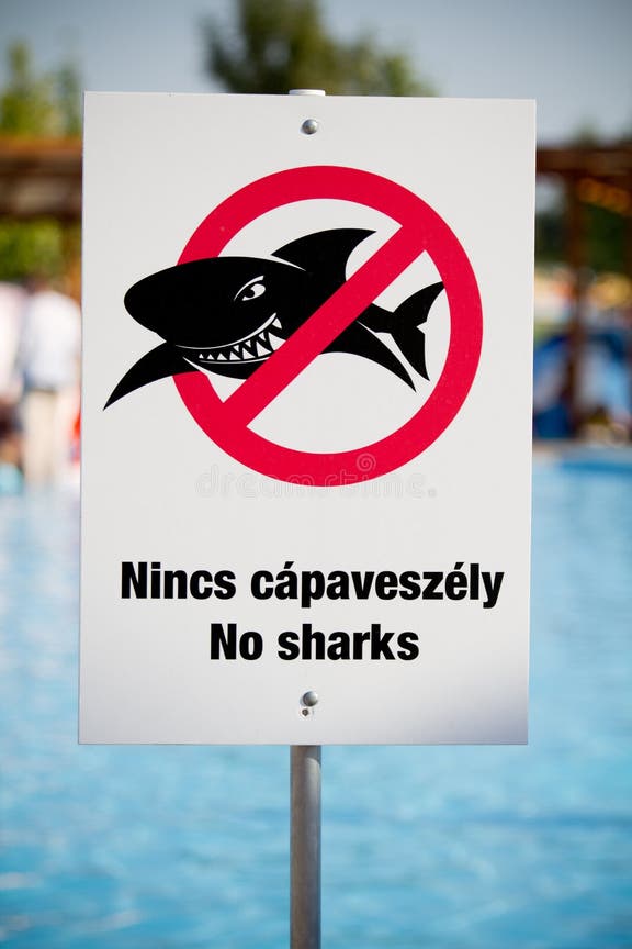 No sharks stock image. Image of silhouette, stop, pool - 26925063