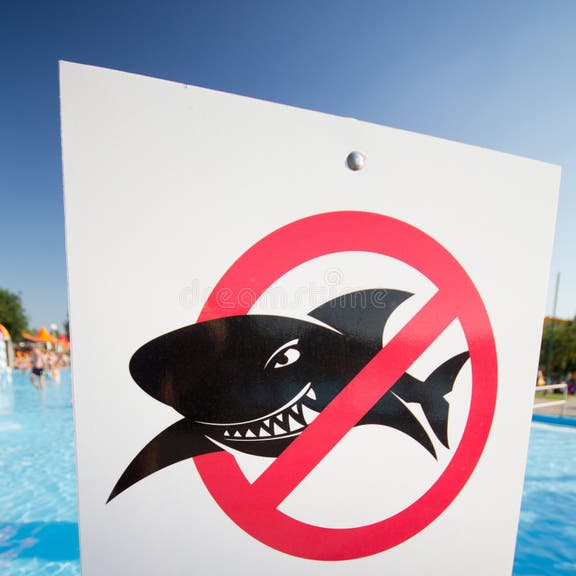 No sharks stock image. Image of risk, swimming, bite - 31761941