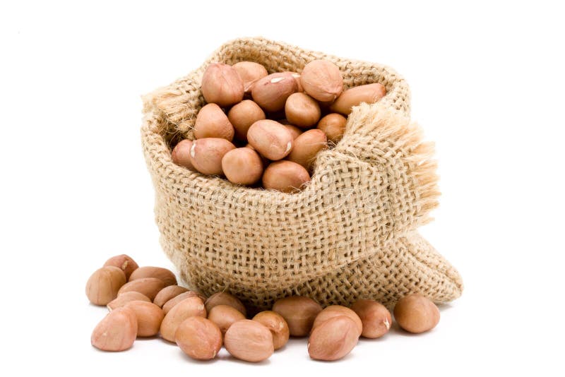 No Shell Dry Peanut in Sack Stock Image - Image of macro, background ...
