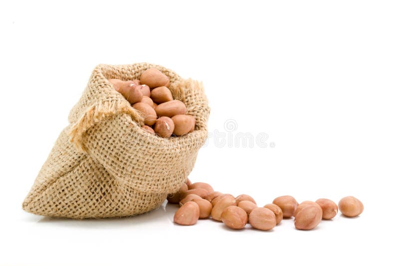 No Shell Dry Peanut in Sack Stock Image - Image of macro, background ...