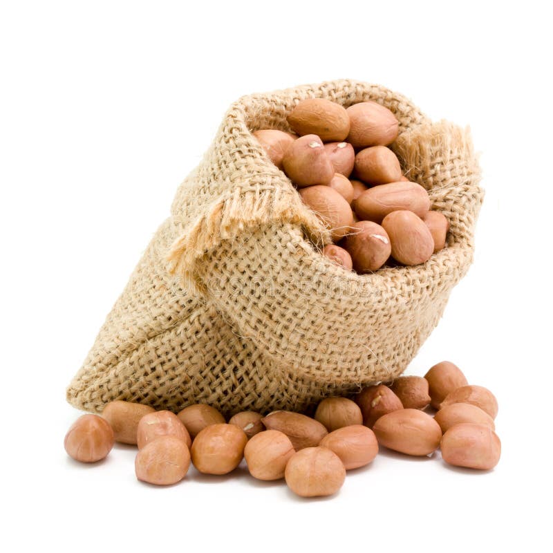 No Shell Dry Peanut in Sack Stock Image - Image of macro, background ...